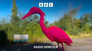 Norfolk | Latest News & Updates | BBC News