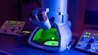 What is microscopy, size and magnification in GCSE Biology? - BBC Bitesize