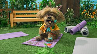 Dodge's Pup School - CBeebies - BBC