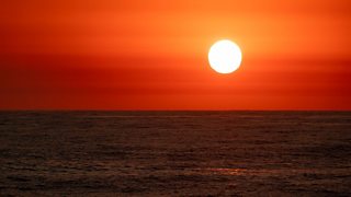 Meet the animals that live in the most extreme environments - BBC Bitesize