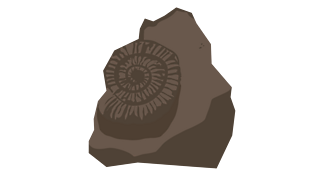 How can I sort objects into dead, living and non-living? - KS1 Science ...