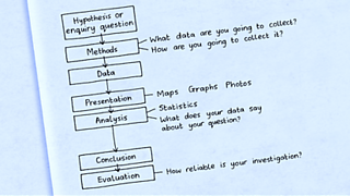 Fieldwork - GCSE Geography - BBC Bitesize