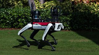 Technology | Latest News & Updates | BBC News