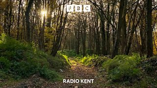 Kent | Latest News & Updates | BBC News