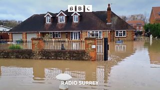Surrey | Latest News & Updates | BBC News