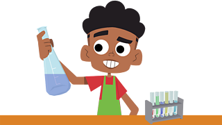 What is science? – KS1 Science curriculum - BBC Bitesize