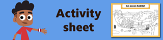 What is an ocean habitat? - KS1 Science curriculum - BBC Bitesize