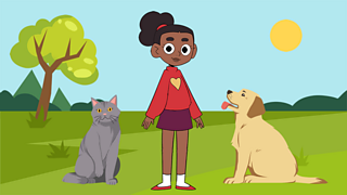 Animals including humans - Year 3 Science - BBC Bitesize