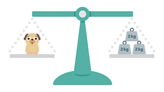 Measuring mass in kilograms - – KS1 Maths resources for Year 2 - BBC ...