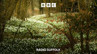 Suffolk | Latest News & Updates | BBC News