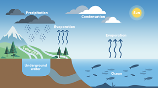 The water cycle – KS2 Science curriculum - BBC Bitesize