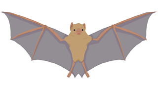 How are sounds detected? – KS2 Science curriculum - BBC Bitesize