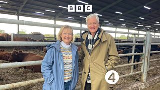 UK farming - BBC News