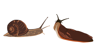 The circulatory system – KS2 Science curriculum - BBC Bitesize