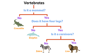 What are classification keys? – KS2 Science curriculum - BBC Bitesize