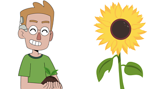 Planning experiments and variables – KS2 Science curriculum - BBC Bitesize