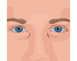 How does the eye detect light? – KS2 Science curriculum - BBC Bitesize