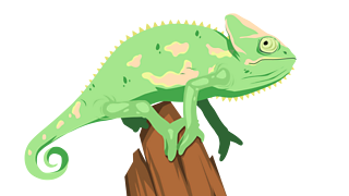 What is adaptation? – KS2 Science curriculum - BBC Bitesize
