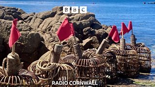 Cornwall | Latest News & Updates | BBC News