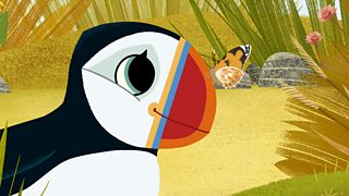 Puffin Rock - CBeebies - BBC