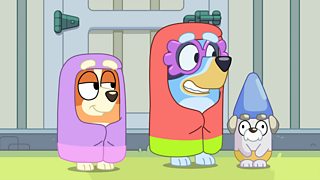 Bluey - CBeebies - BBC