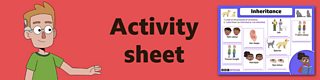 What is inheritance? – KS2 Science curriculum - BBC Bitesize