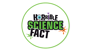 Science Everyday - Horrible Science - BBC Bitesize