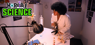 Science Everyday - Horrible Science - BBC Bitesize
