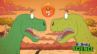 Horrible Science - KS2 Science - BBC Bitesize