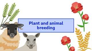 Quizzes - Higher Biology - Higher Biology - BBC Bitesize