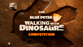 Fossils – KS2 Science curriculum - BBC Bitesize