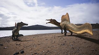 BBC One - Walking With Dinosaurs - Dino guide: Creating Spinosaurus