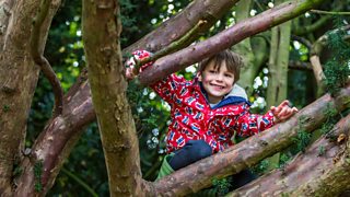 Wild About Nature with BBC Bitesize - BBC Teach