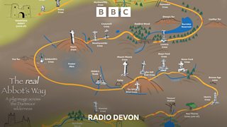 Devon | Latest News & Updates | BBC News