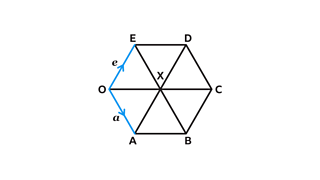 What is a vector? - BBC Bitesize