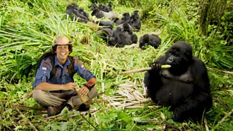 Andy's Wild Adventures Catch up, Series 2 - Marsupials on CBEEBIES