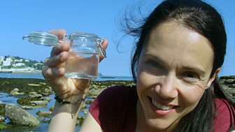 BBC Two - Coast - Hermione Cockburn