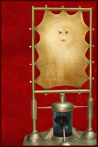 BBC One - Doctor Who (2005–2022), Series 1 - Lady Cassandra