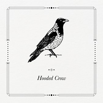 BBC One - His Dark Materials - Hooded Crow