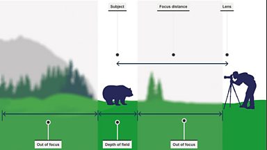 Depth of field: What do I need to know? - Academy Guides