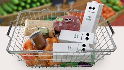 Food choices and needs - 1st level - BBC Bitesize