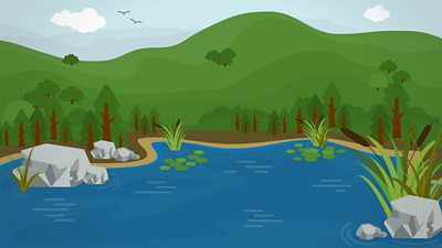 Weather and climate in the UK | KS2 Geography | Year 3 and Year 4 - BBC ...