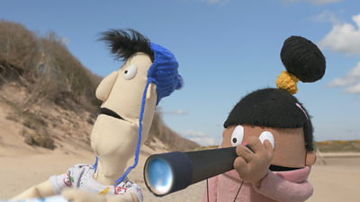 Seaside animals - BBC Bitesize