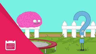 What is alphabetical order? - BBC Bitesize