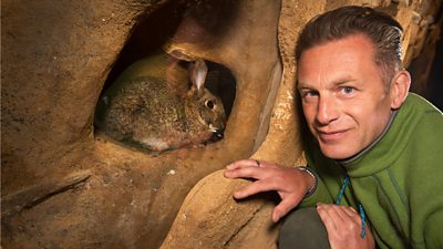 The Burrowers: Animals Underground - Media Centre