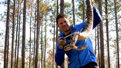 Steve Backshall returns to CBBC for another epic Deadly mission - Media ...