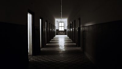 The Last Asylum - Media Centre