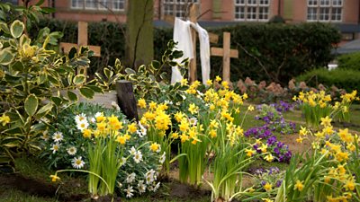 Religious programmes for Easter across the BBC - Media Centre