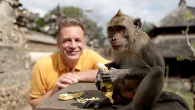 Fingers In The Sparkle Jar - Media Centre