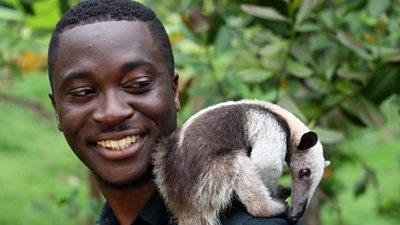 Nature's Miracle Orphans - Media Centre